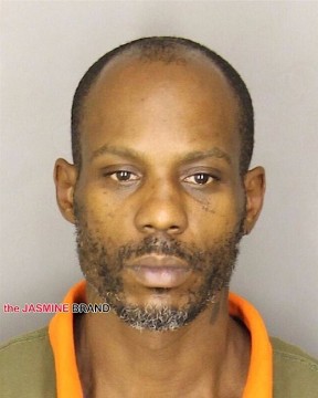 DMX Could Get Up To 5 Years In Jail - theJasmineBRAND
