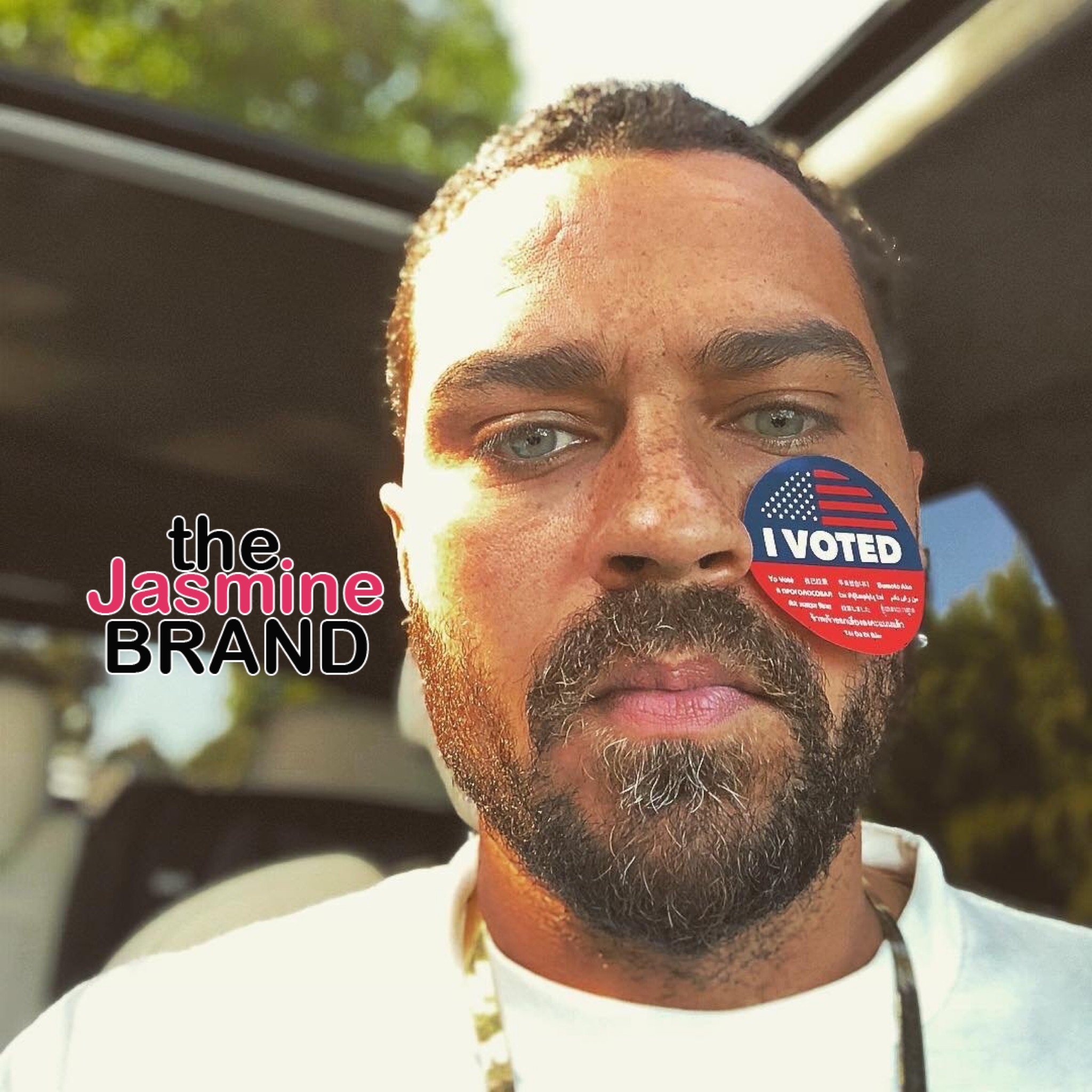 Celebs Spotted At The Polls! Viola Davis, Jesse Williams, Tami Roman ...