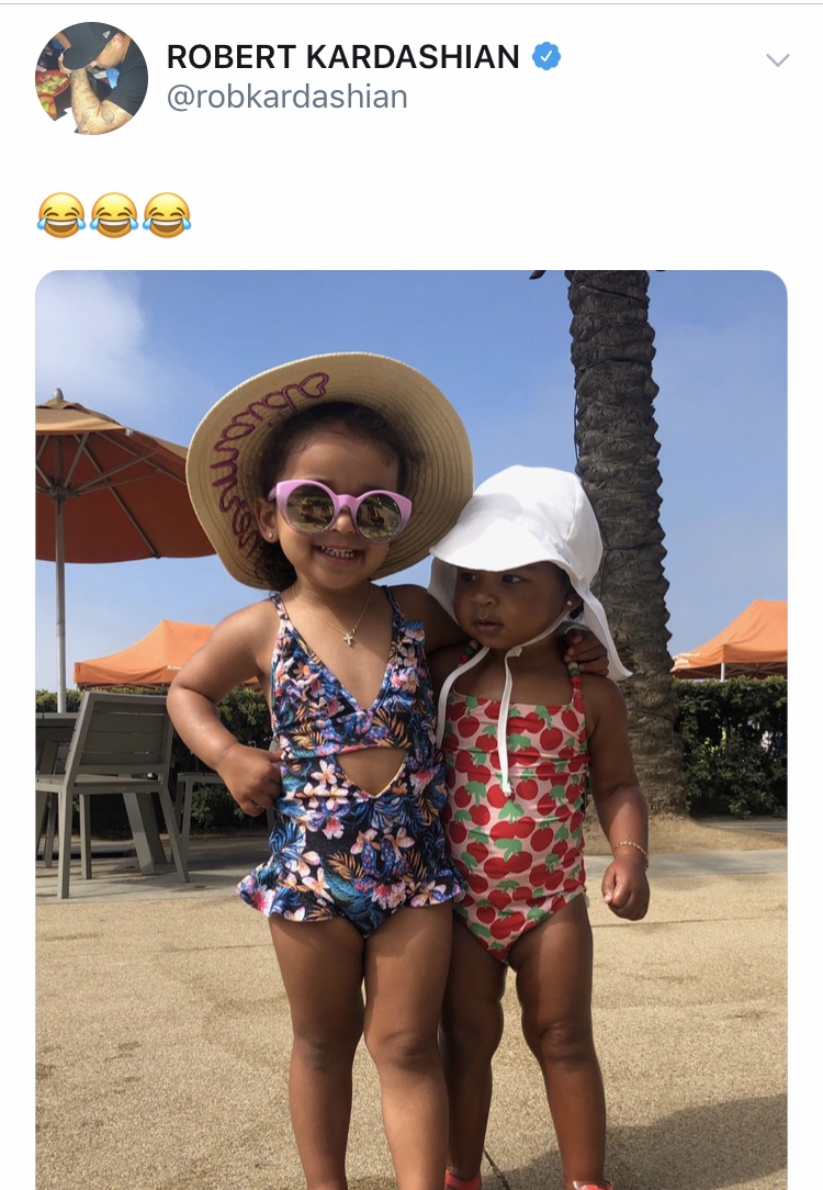 Rob Kardashian Shares Adorable Pool Play Date Photos of Dream & True ...