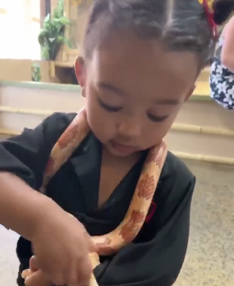 Kim Kardashian's Daughter Chicago West Bravely Holds A Snake Like a ...