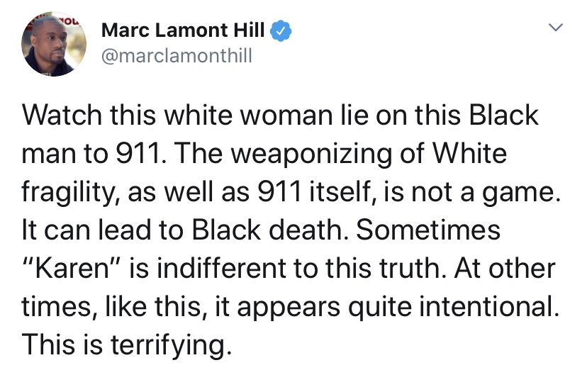 Amy Cooper Is Facing Charges After She Called The Cops On A Black Man ...