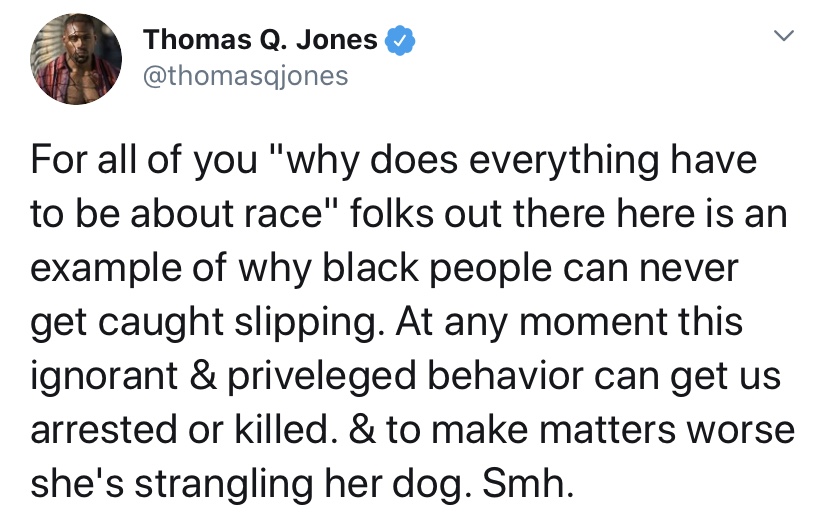 Viral Footage Of White Woman Fabricating Story Against Black Man ...