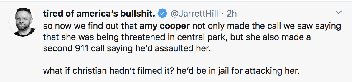 Amy Cooper Called Police On Christian Cooper A 2nd Time Claiming He ...