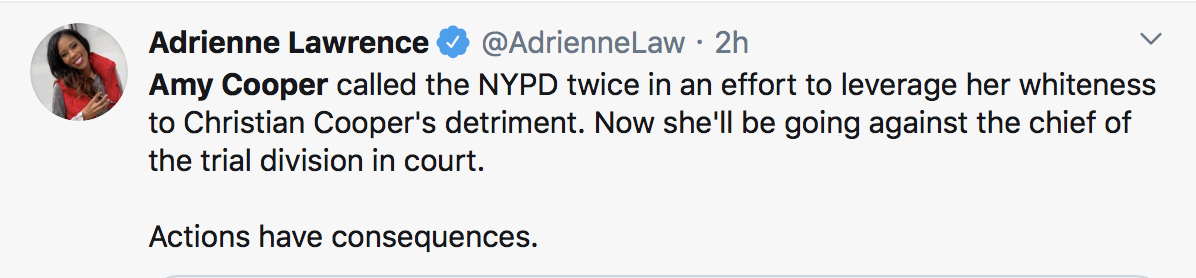 Amy Cooper Called Police On Christian Cooper A 2nd Time Claiming He ...