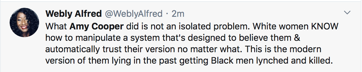 Amy Cooper Called Police On Christian Cooper A 2nd Time Claiming He ...