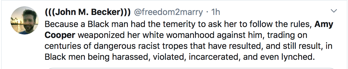 Amy Cooper Called Police On Christian Cooper A 2nd Time Claiming He ...