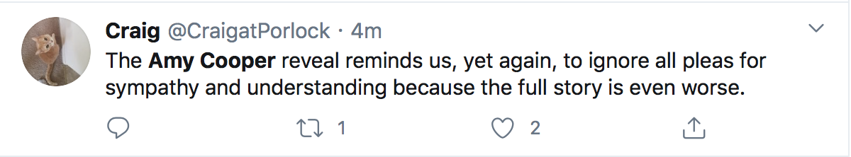 Amy Cooper Called Police On Christian Cooper A 2nd Time Claiming He ...