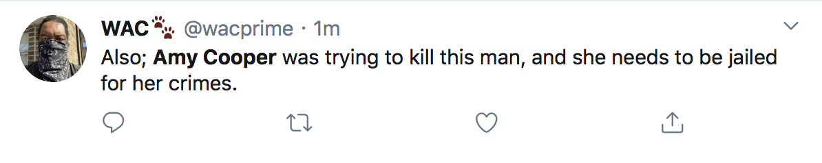 Amy Cooper Called Police On Christian Cooper A 2nd Time Claiming He ...