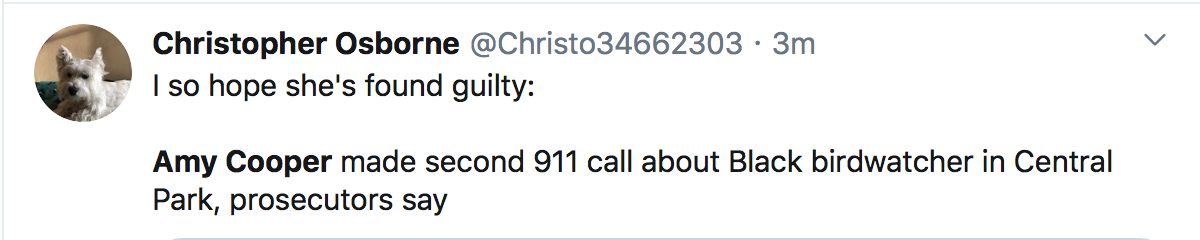 Amy Cooper Called Police On Christian Cooper A 2nd Time Claiming He ...