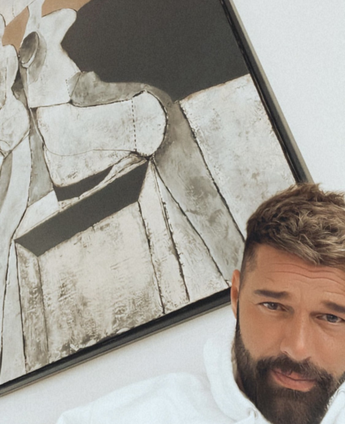 Ricky Martin Accused Of Domestic Violence & Incest By Having Romantic ...