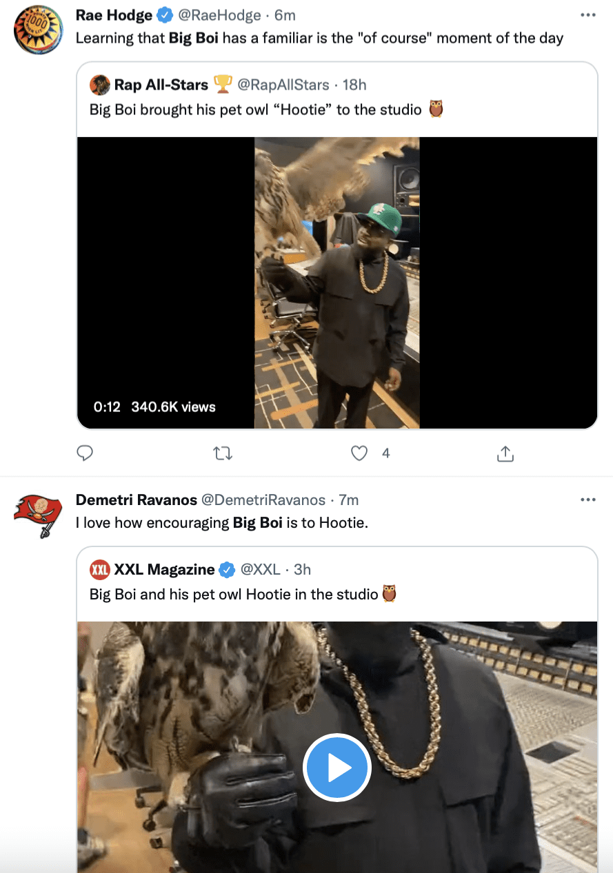 Outkast’s Big Boi Trends On Twitter For Bringing His Pet Owl To The ...