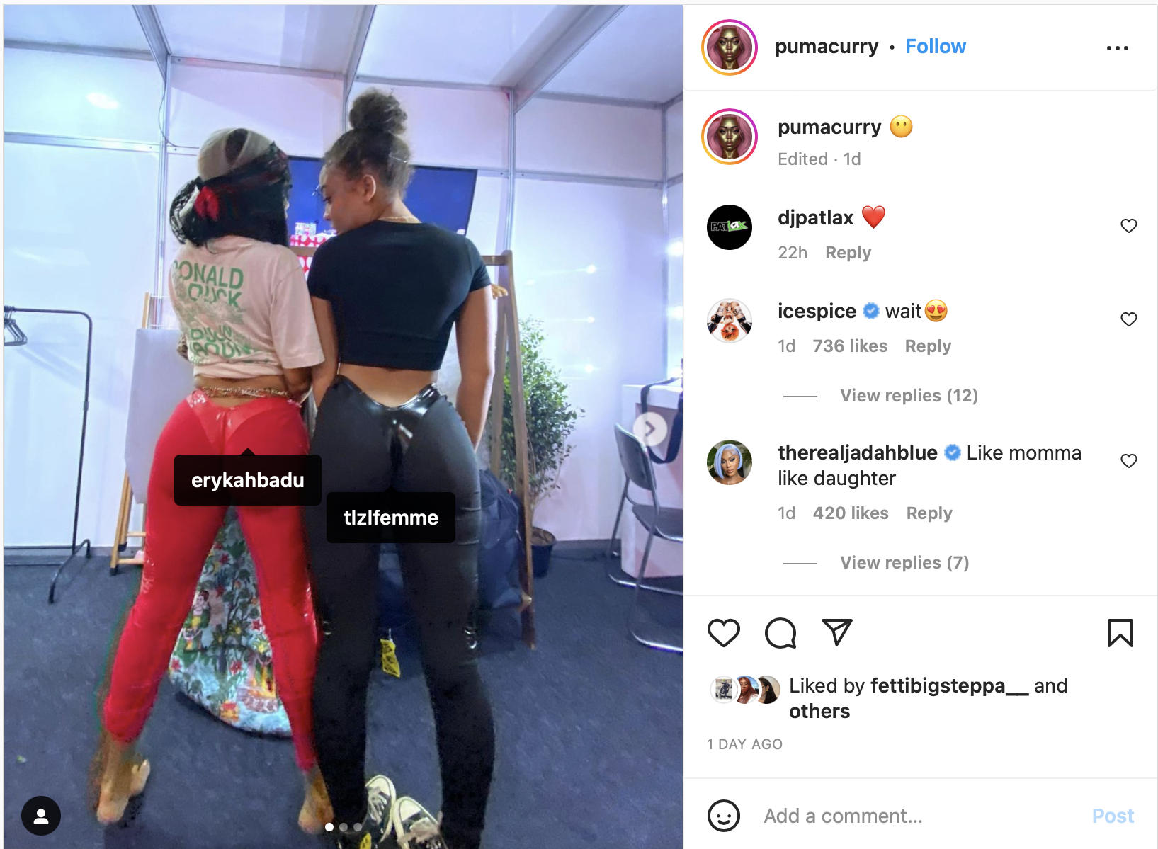 Erykah Badu's Daughter Puma Responds To Criticism Surrounding Her ...