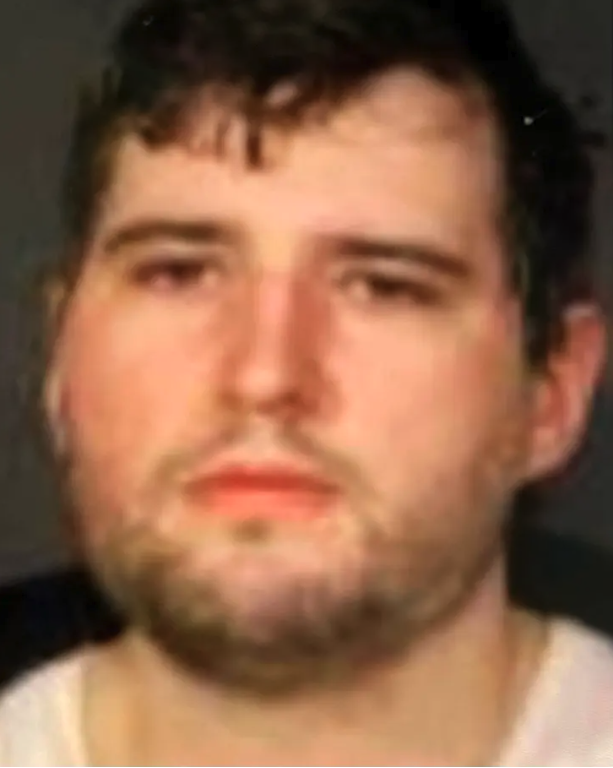 Update: Julia Fox Pays Brother's $450K Bail Following His Arrest On Gun ...