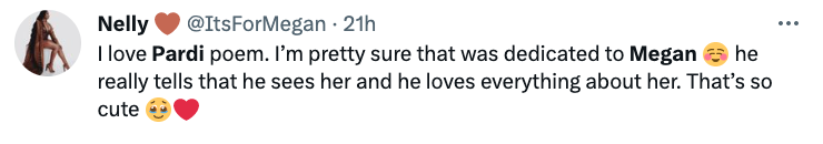 Megan Thee Stallion - Fans React To Pardi's Heartfelt Poem Seemingly ...