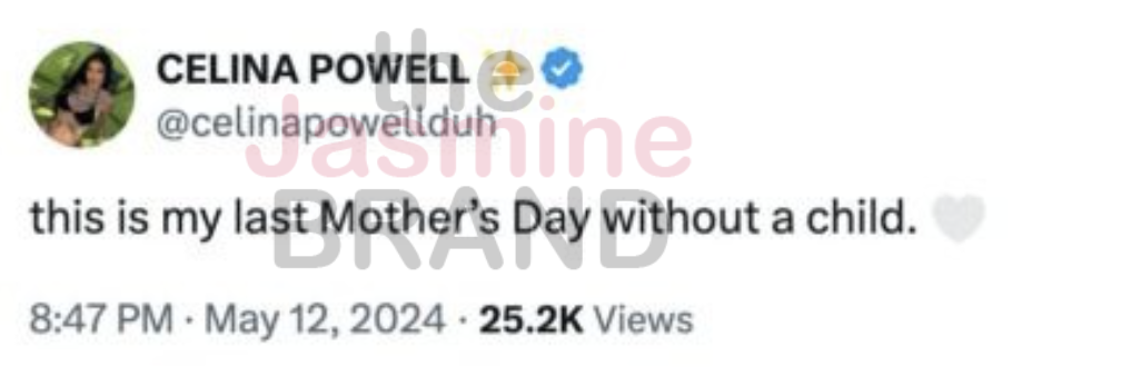 Celina Powell Reveals Baby Plans Amid Social Media Buzz Over Romance w/ 'Love Is Blind' Star ...