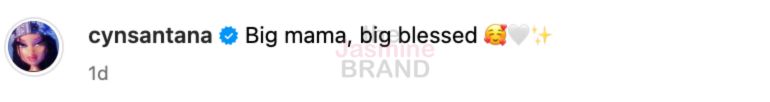 Cyn Santana’s Pregnancy Announcement Fuels Speculation On Whether Brent ...
