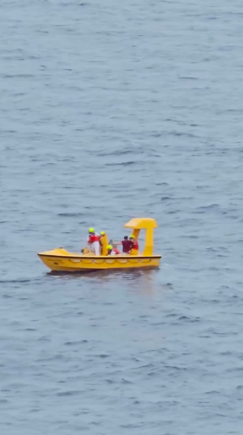 Dad Jumps Overboard To Save Daughter Who Fell Off Disney Cruise Ship - theJasmineBRAND