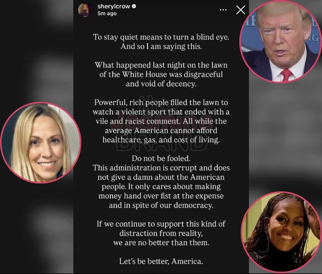 Singer Sheryl Crow Blasts Trump's 'Disgraceful' UFC White House Event ...